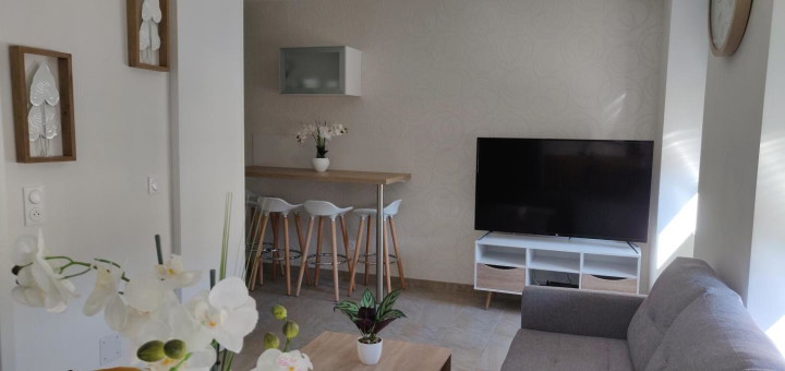 Le Cygne, Appartement De Standing En Hyper-centre - Sarreguemines