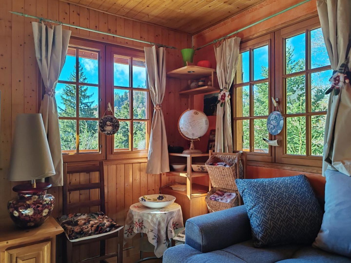 Chalet Le Mouflon - Cantal