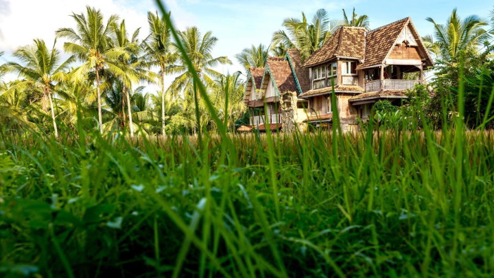 The Rice Joglo Eco-stay - Bali