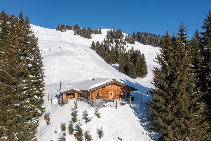 Almhütten Saalbach-hinterglemm - Saalbach-Hinterglemm