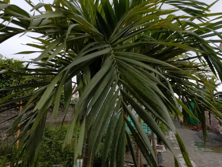 Seuj Kutir Lodge - Guwahati