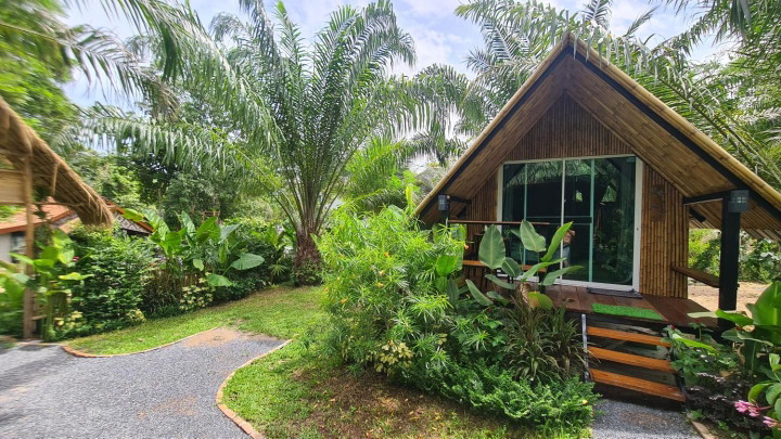 Tee Bungalow In The Jungle - Krabi