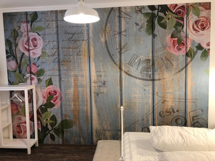Dunakavics Boutique Apartman Szentendre - Szentendre
