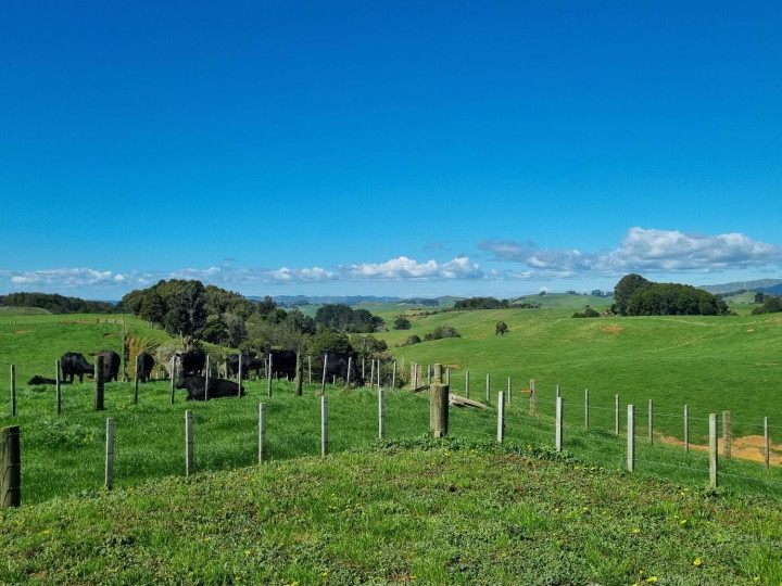 Coastal Country Cabin - Raglan