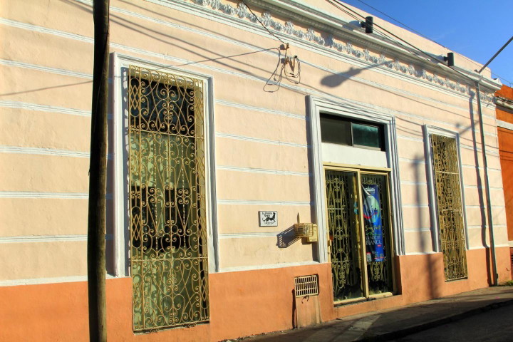 La Pantera Negra - Mérida