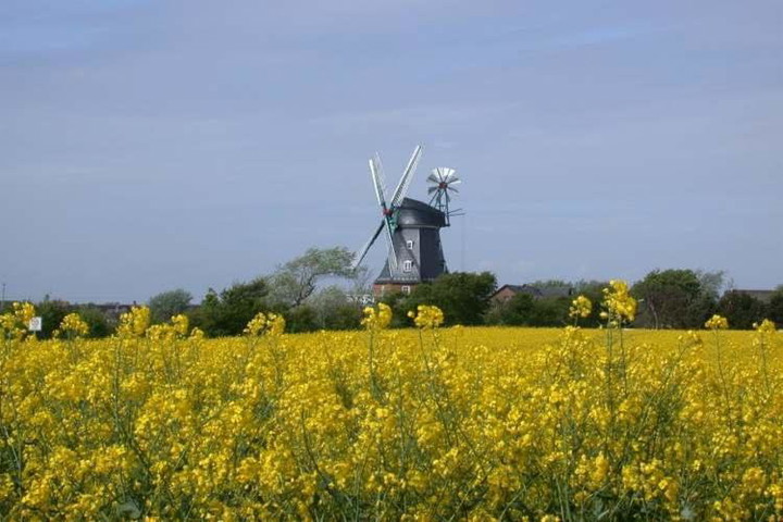 Inselzauber - Amrum