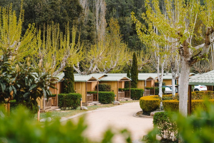 Taiga Bassegoda Park - Catalonia