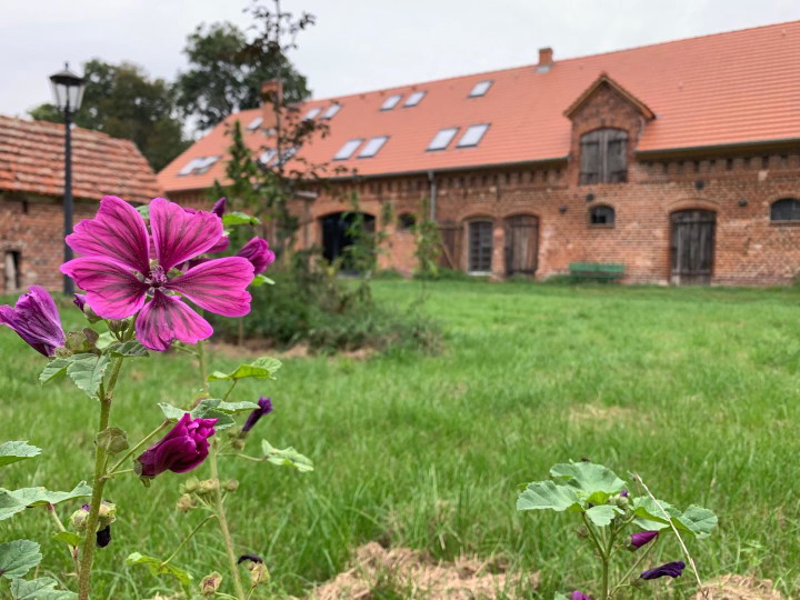 Ferienhof Weitblick - Seelow