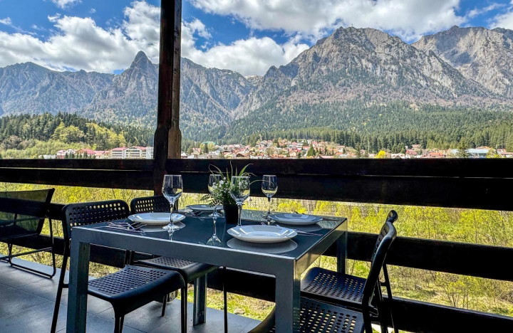 Busteni Mountain View Suites By The River - Ev Plug - Azuga