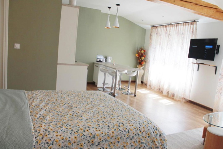 Saint Etienne : Appartement Châteaucreux 40 M2 - Saint-Étienne