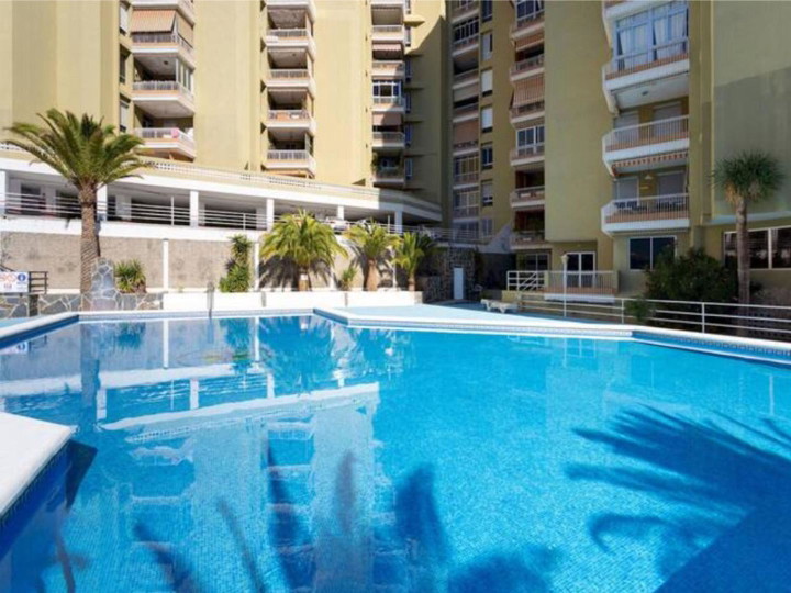 Live Tabaiba Decre - Santa Cruz de Tenerife