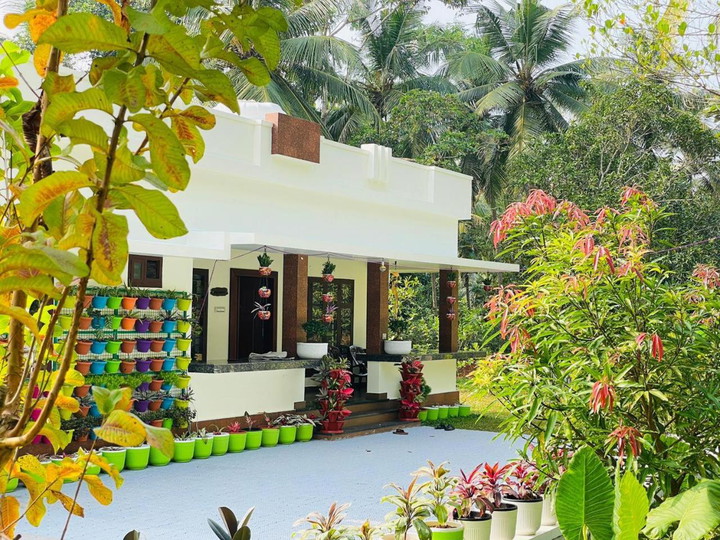 Green Hills Nature Stay - Kozhikode