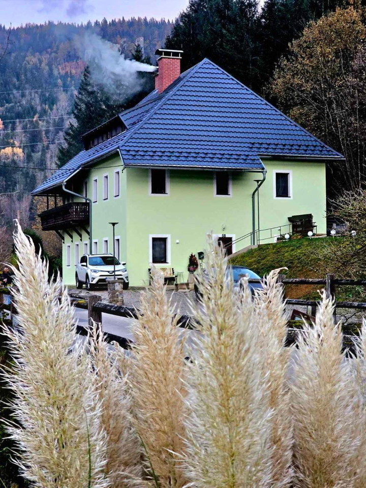Villa Alpine Spirit - Mariazell