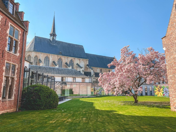 Martin's Klooster - Louvain
