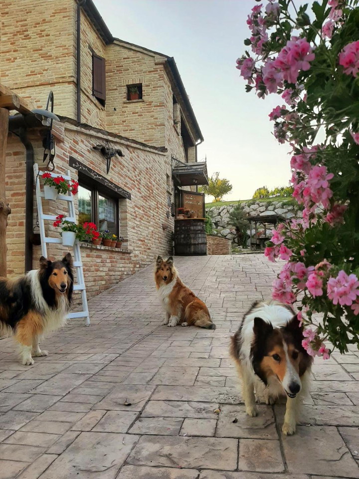 Il Casale Dell'acquabona - Macerata