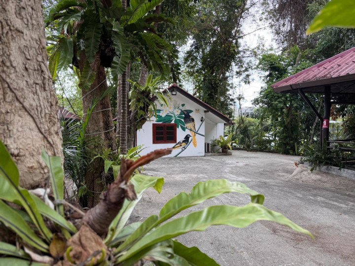 Pagi Pagi Villas - Krabi