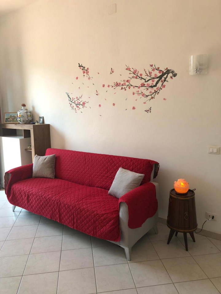 La Casa Degli Ulivi - Pise