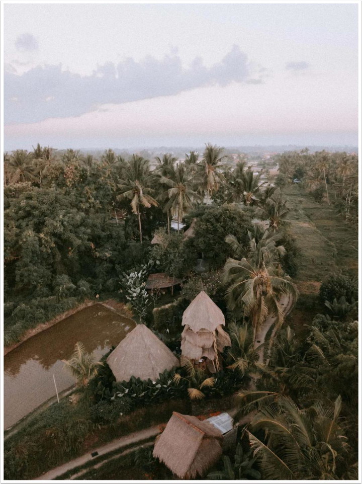 Firefly Eco Lodge - Ubud