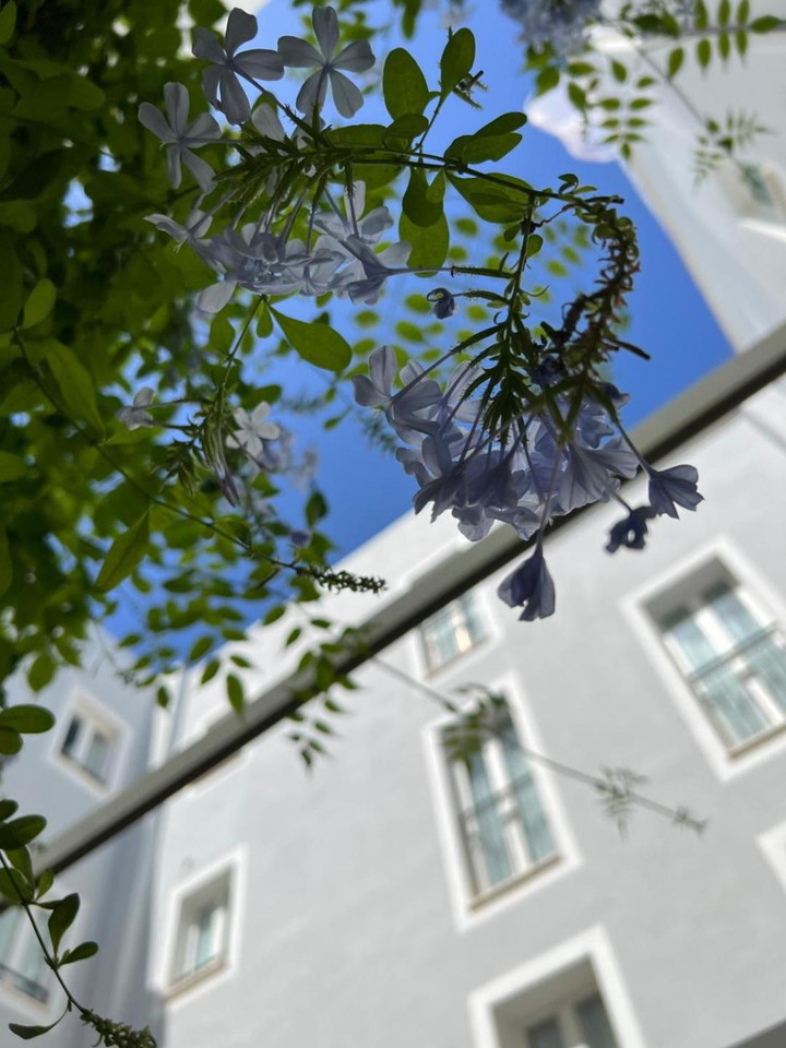 Hotel San Miguel Menorca - Minorque