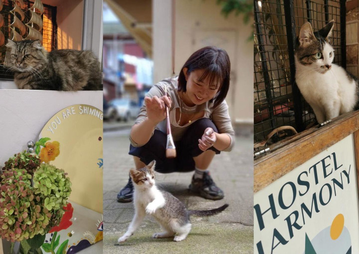 Harmony Old Town Hostel - バトゥミ