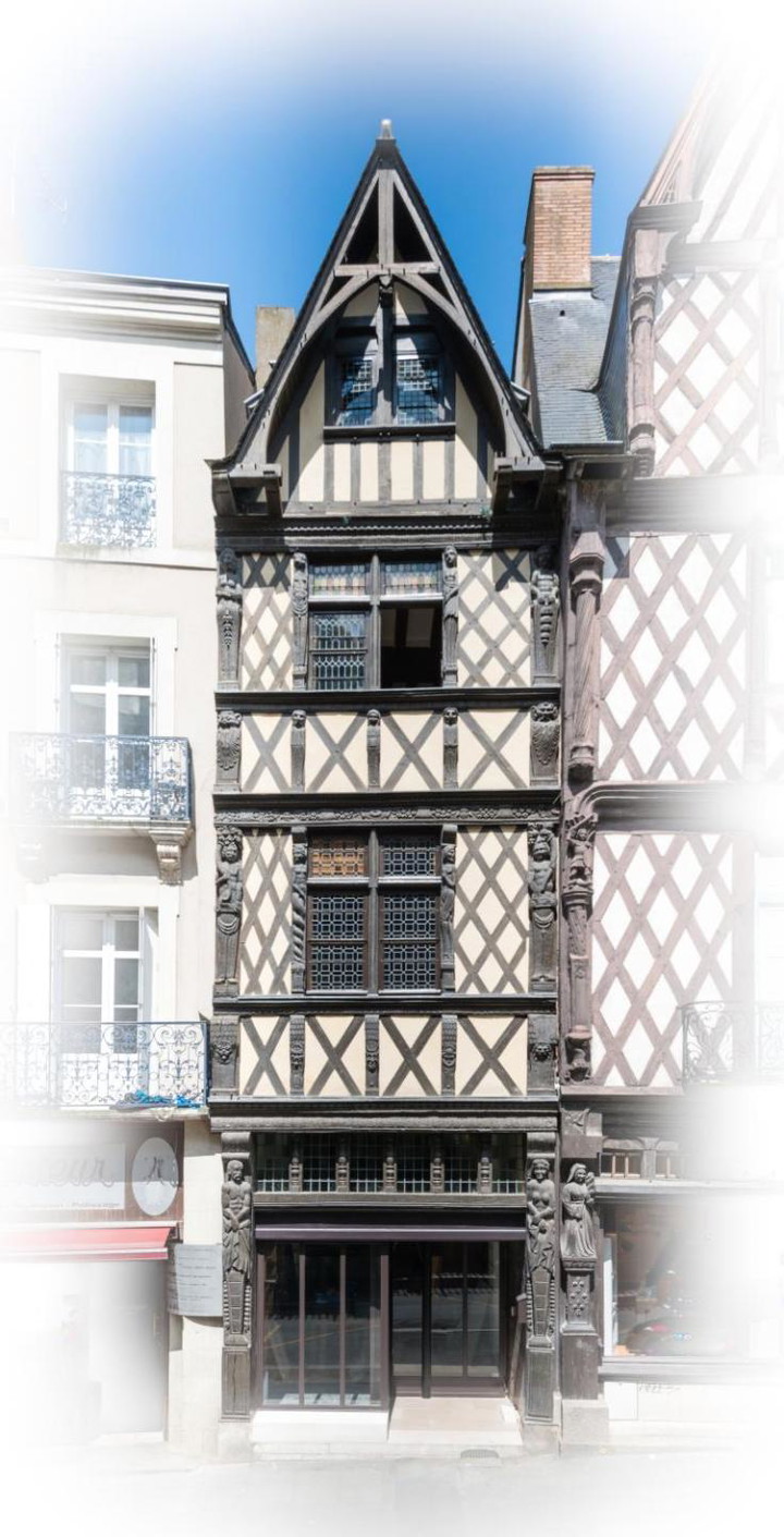 L'oisellerie Meublé De Tourisme - Angers