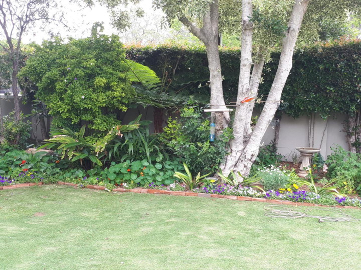 Lavender Garden Cottage - Gqeberha