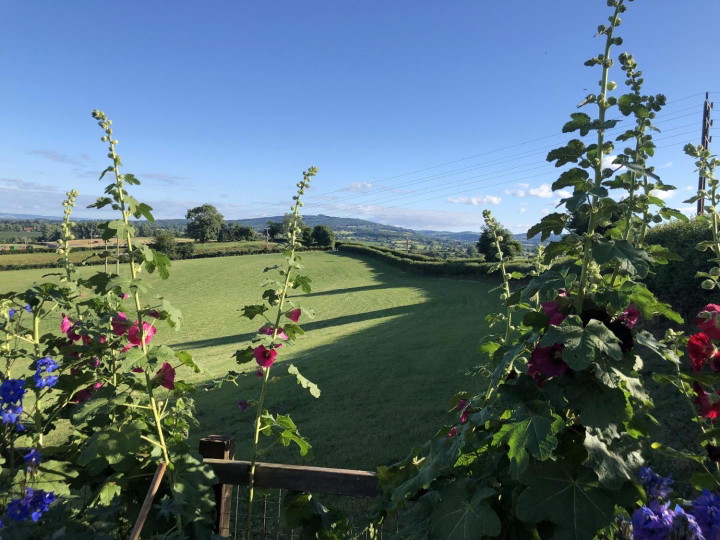 Betula Views - Ledbury