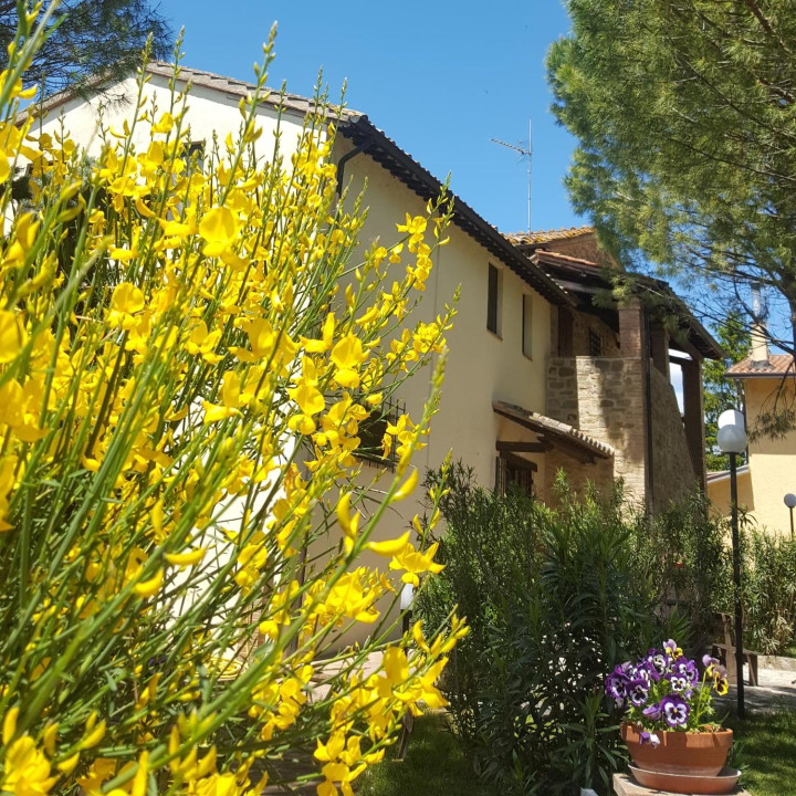 Agriturismo La Ginestrella - Ombrie