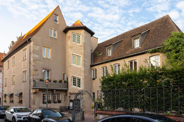 Hotel Restaurant L'orchidee - Cernay