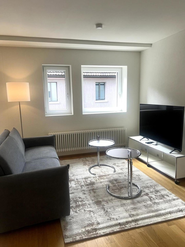 1br In The Trendiest District Of The City - West 14 - Zurich
