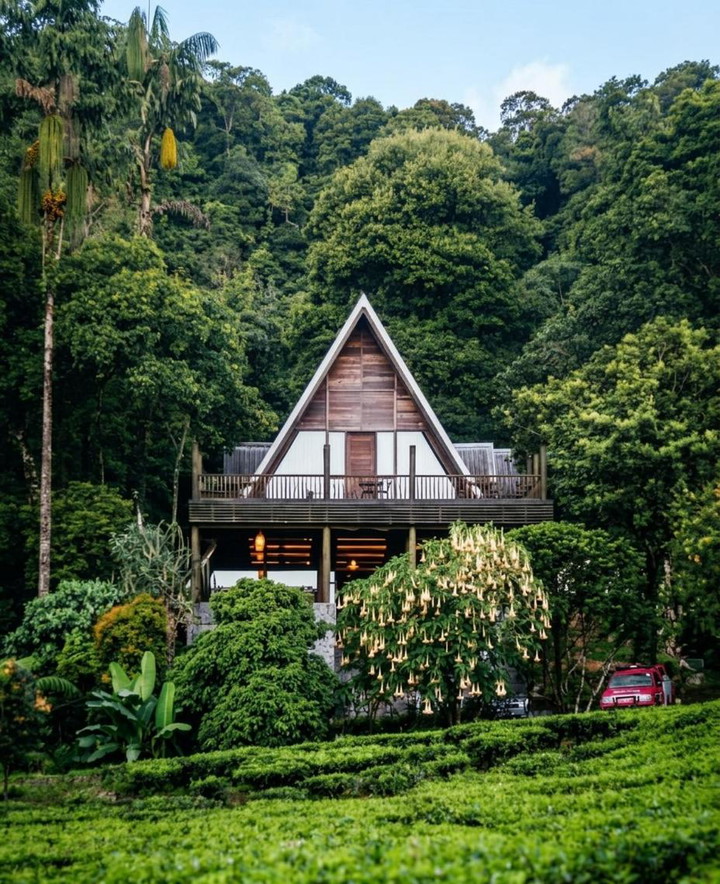 Telaga Warna Nature Space - Cisarua