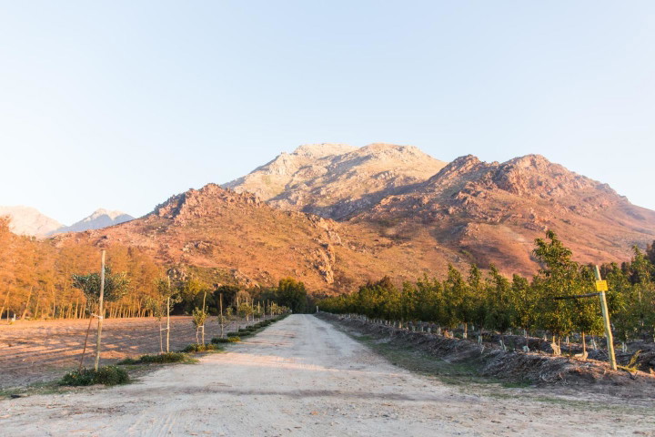 White Bridge Farm Accommodation - Ceres