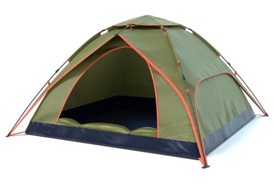Top Campsite At Desert Gardens Oasis In Lobo, Tx - United States