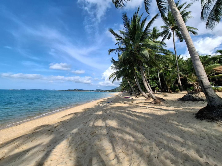 Thiptara Resort - Adults Only - Koh Samui