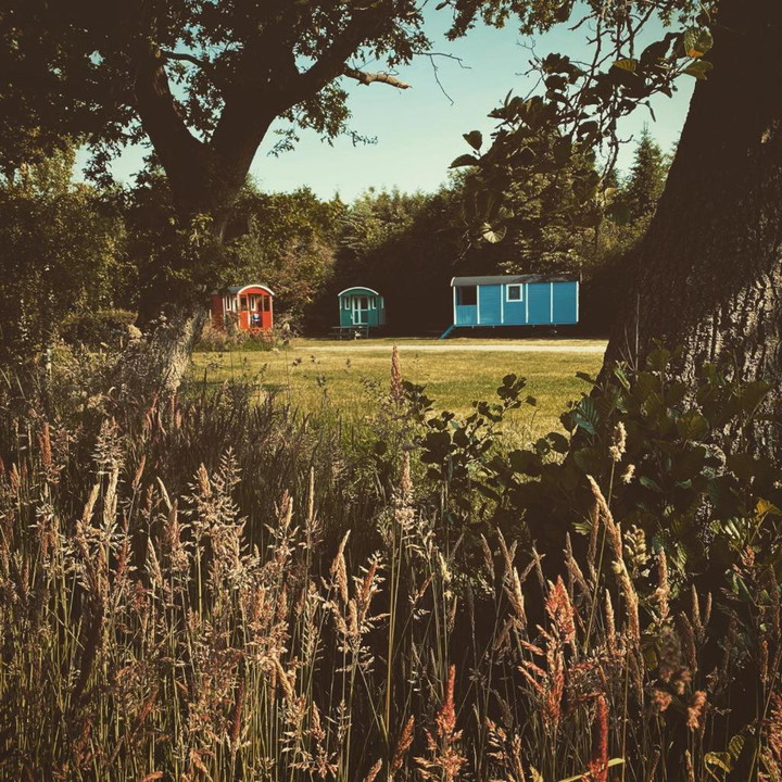 Pipowagens Bij Pannenkoekenrestaurant & Camping De Koppenjan 'Een Uniek Verblijf Met Kinderspeelboerderij' - Pays-Bas
