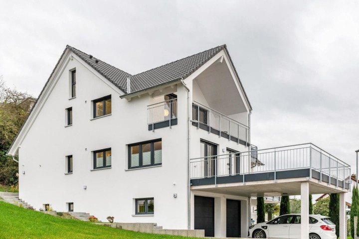 Ferienwohnung Vogesenpanorama - Bartenheim