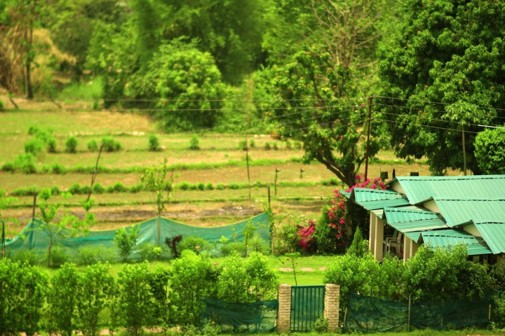 Entire Farm House In Jim Corbett With Staff And Cook - Ramnagar