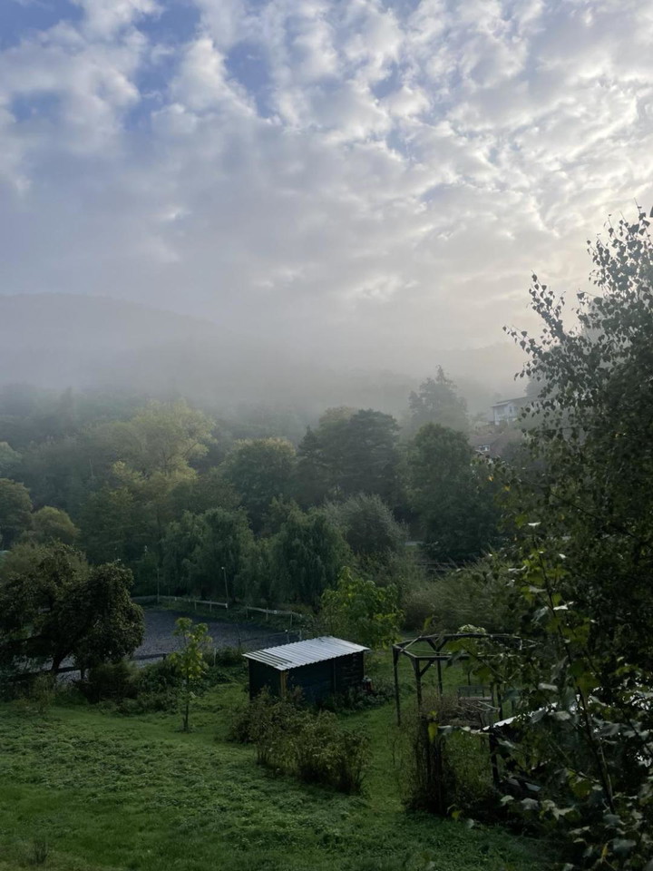 Ponyparadies - Bad Wildungen