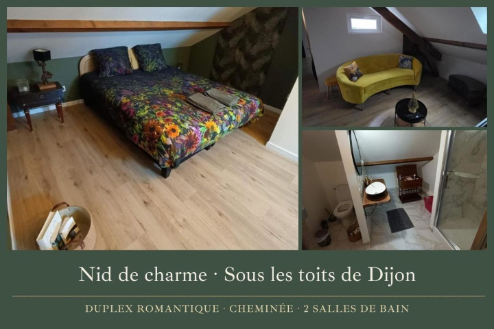 Nid De Charme Pour Soirée Romantique - Chenôve