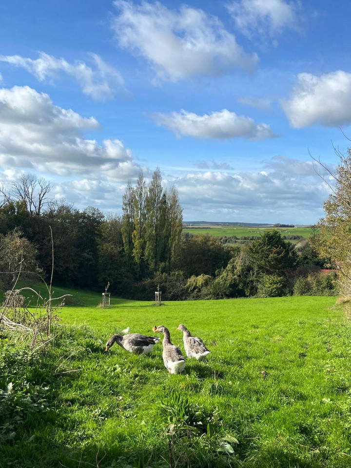 Le Clos D'hydrequent - Marquise