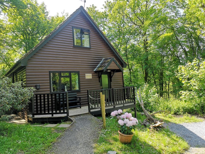 Prancinghare Lodge-woodland Lodges-pembrokshire - Pembrokeshire