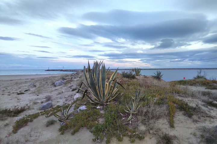 Appartement T2 Dans Village Naturiste En Bord De Mer - Étang de Leucate