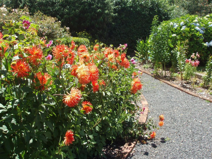 Boat Harbour Garden Cottages - Wynyard