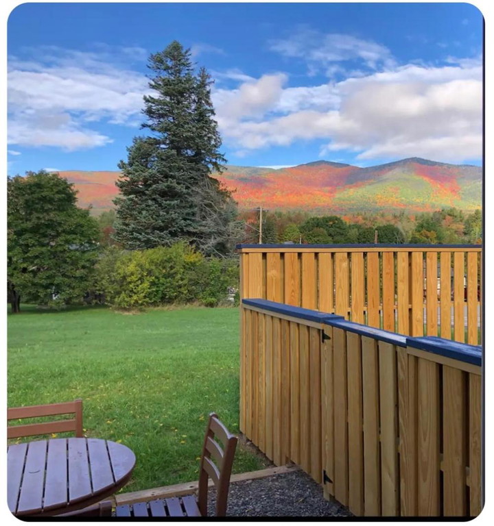 Mountain View Cottage - Adirondacks