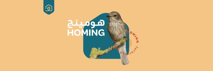أجنحة هومينج ــ Homing Suites - Salalah