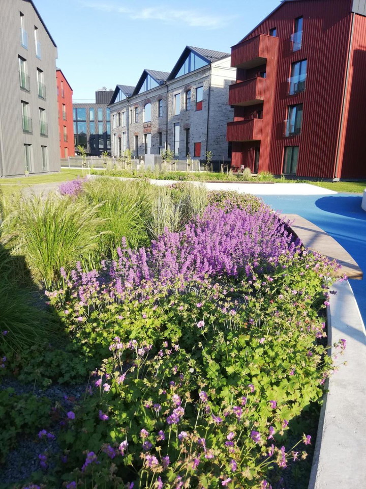 Kalamaja Garden - Tallinn