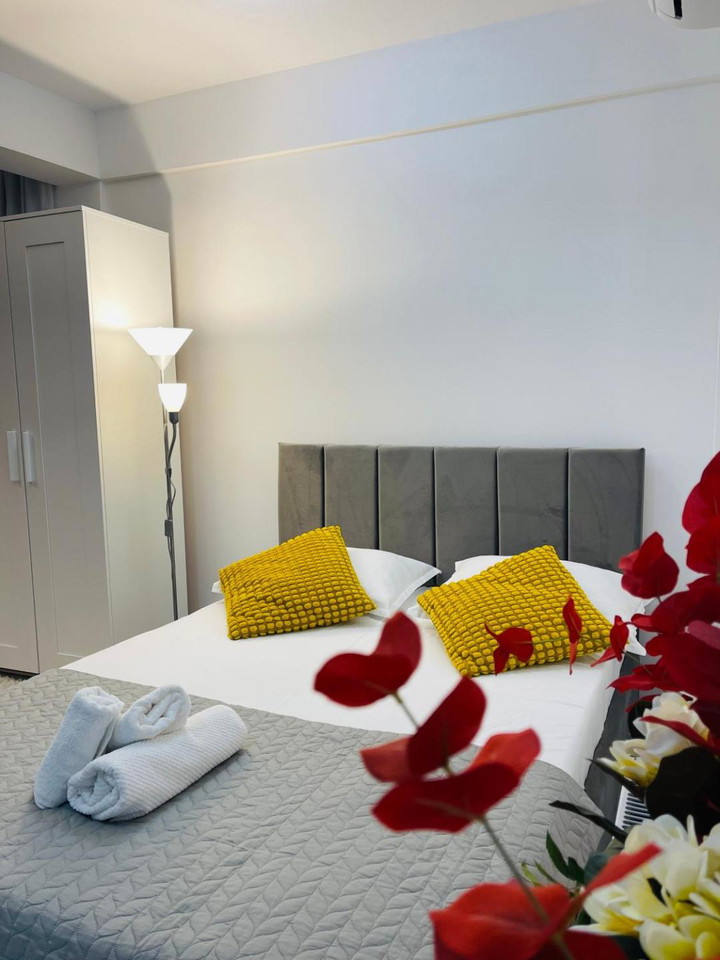 Studio Dumy Near Airport - Otopeni