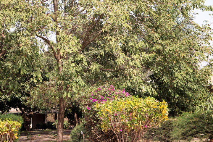 Yuna Village Garden Resort - The Gambia