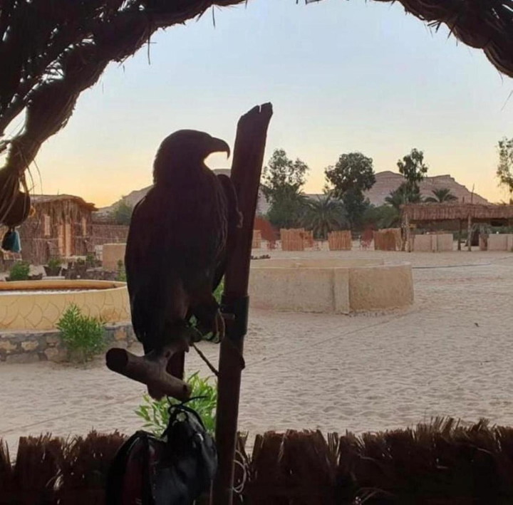 Tijan Siwa - Egypt