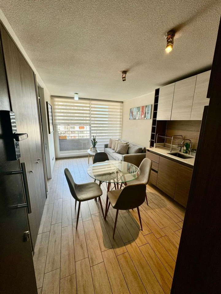 Lindo Y Cómodo Apartamento En Santiago Centro - Santiago